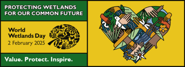 World Wetlands Day 2025: Protecting Wetlands For Our Common Future – University of Environment ...