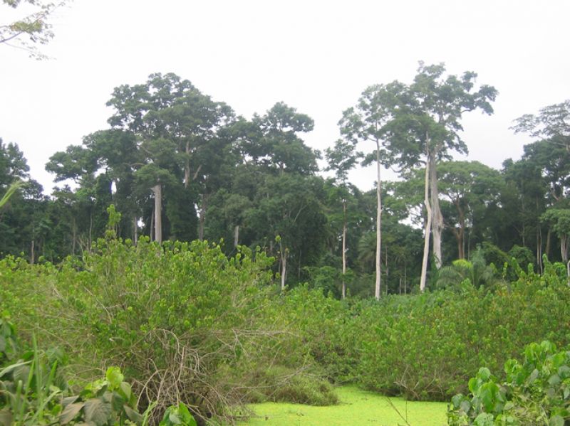 Insufficient investment and protection of ecosystem in Ghana worrying ...