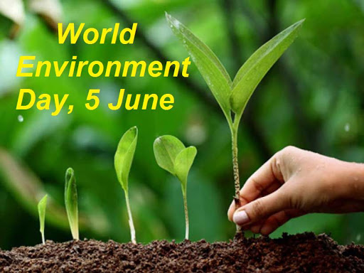 World Environment Day marked globally – University of Environment and ...